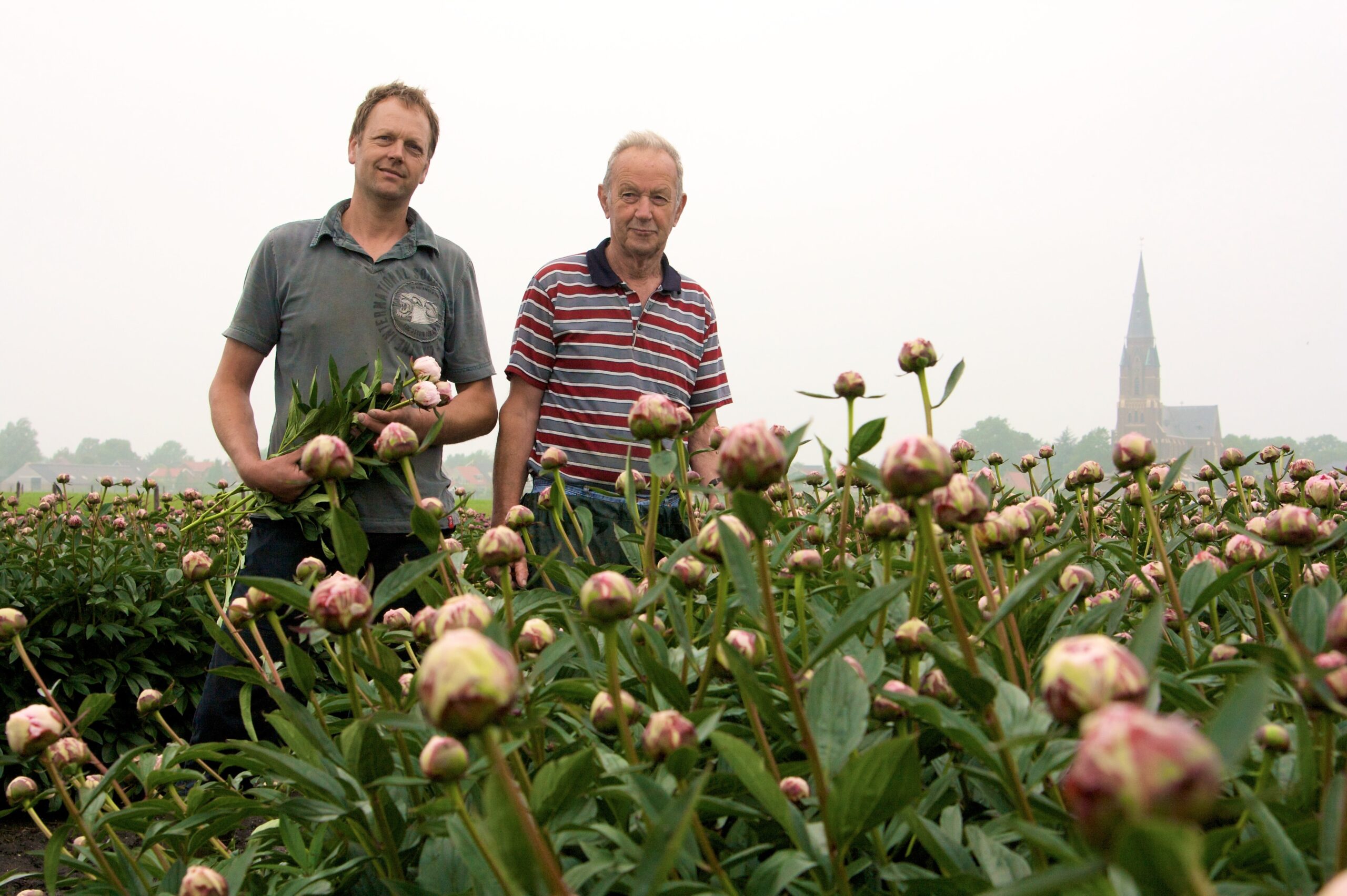 Bert Neefjes | My Peony Society