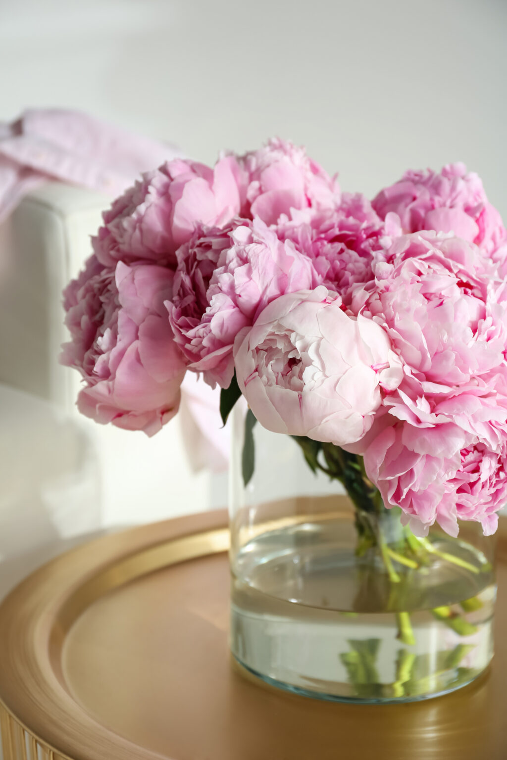 Paeonia Princess Bride - Peonies - My Peony Society
