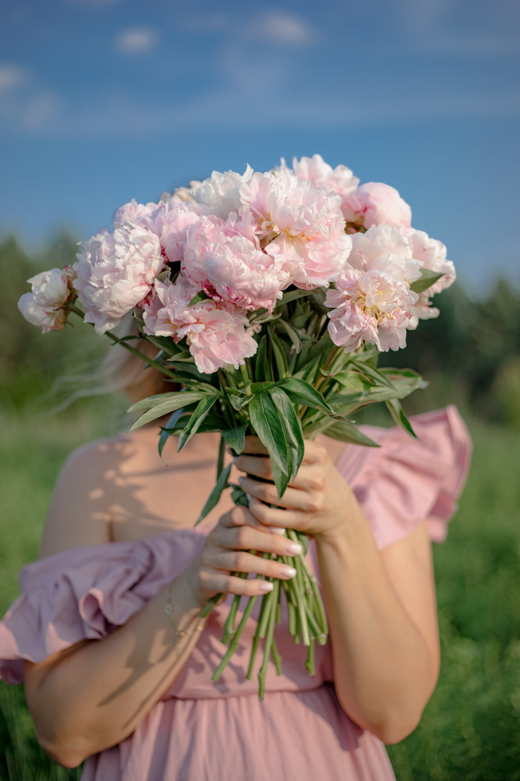 Blushing pink peonies | My Peony Society